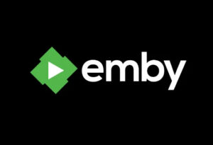 windows下的EMBY破解教程-杨公子的博客就去ID网97ID网